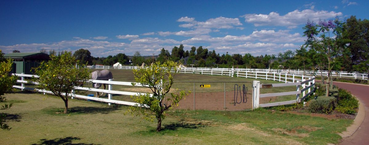 paddock – Brookleigh Estate