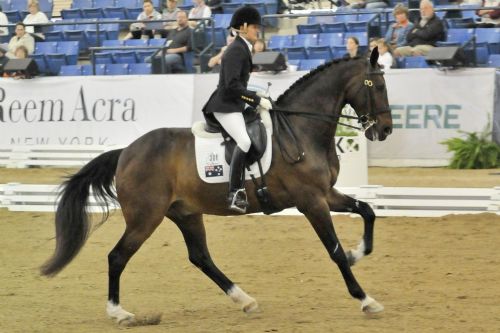 5698643_orig – Brookleigh Estate