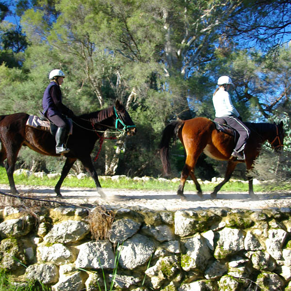 Brookleigh Adult Riders Club-resized-600 – Brookleigh Estate