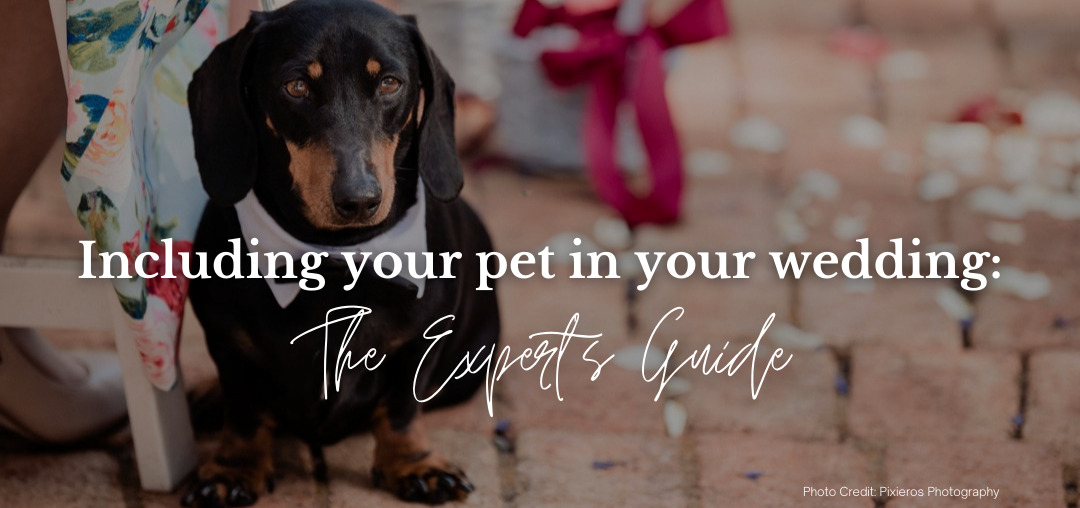 Including your pet in your wedding: The Expert’s Guide – Brookleigh Estate